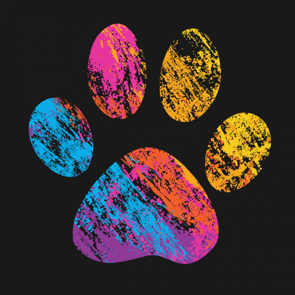 Performance Equine Vets Excellence In Medicine