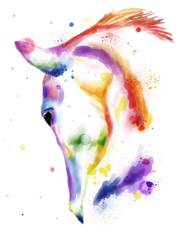 Performance Equine Vets Excellence In Medicine